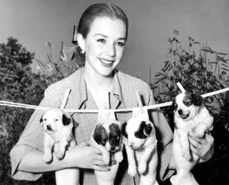 Indie Flashback: Piper Laurie on “Carrie,” “The Hustler” and Fumio ...